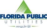 Utilities Companies in New Port Richey, FL - InMyArea.com